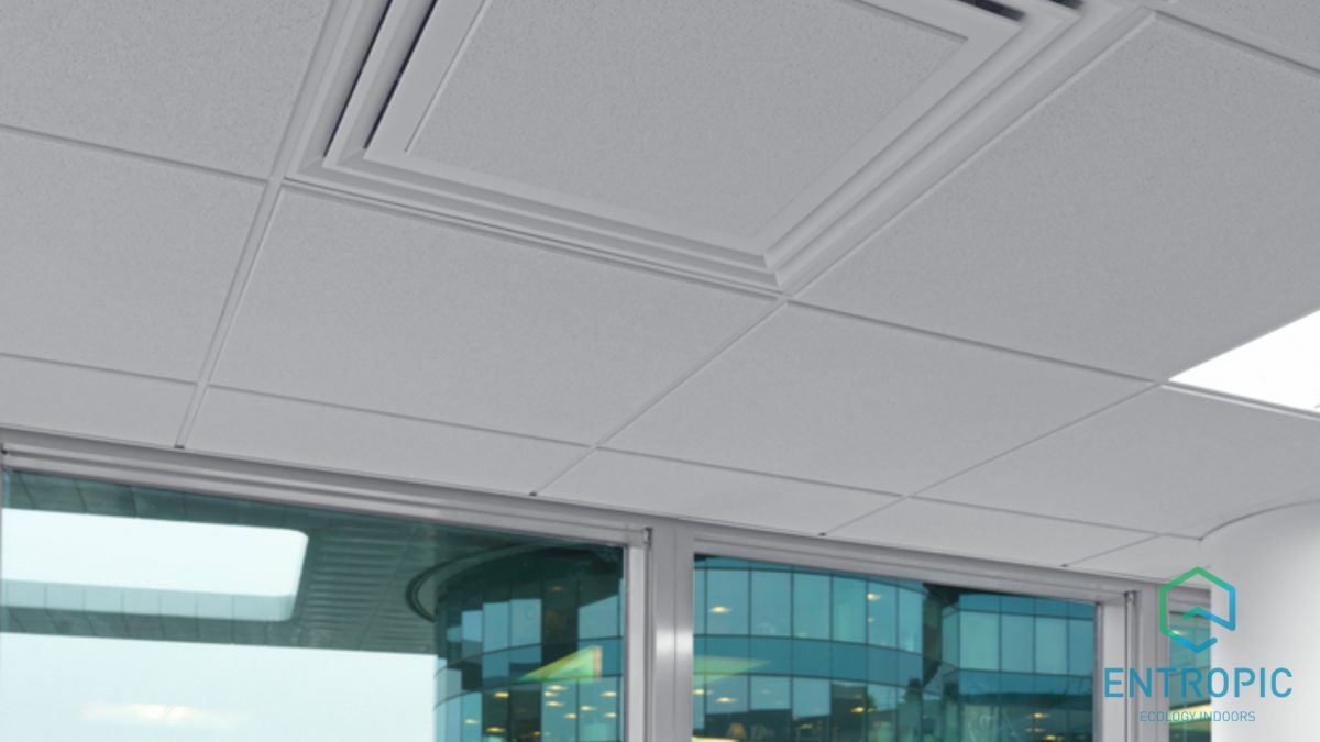 References and Gallery - Entropic Limited