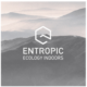 About Us - Entropic Limited